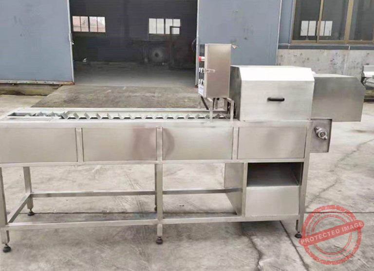 Automatic Fixed Length Corn Head Cutting Machine with Separating ...