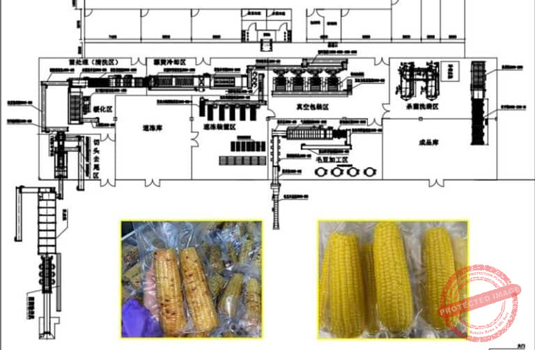 Vacuum Packed Sweet Corn Cob Production Line - Corn Flake Machine ...